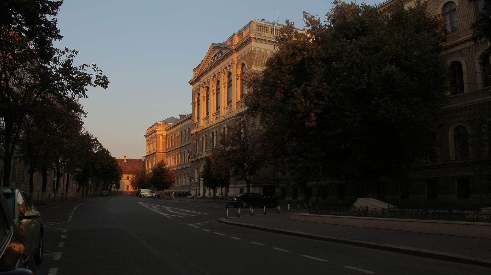 The oldest sea bass fossil in Europe was discovered by a team of ...